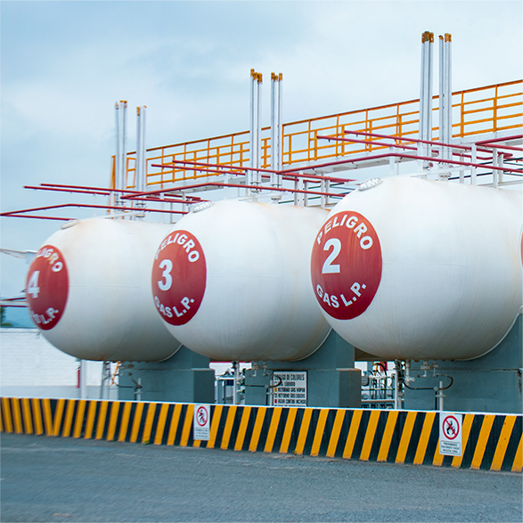 Planta de distribución | Pegasus Control