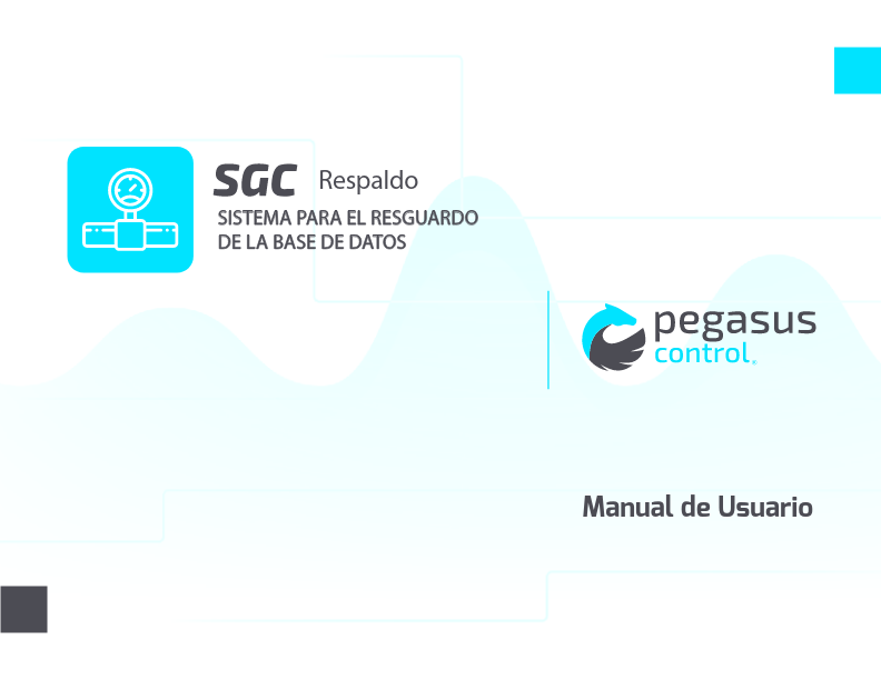 ManualUsuarioRespaldo | Pegasus Control